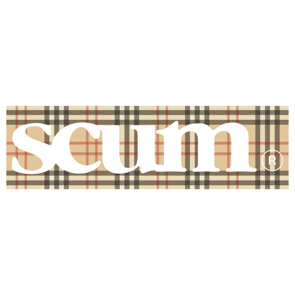 SCUM BOX LOGO CHAV BOY STICKER – Scum Skateboarding